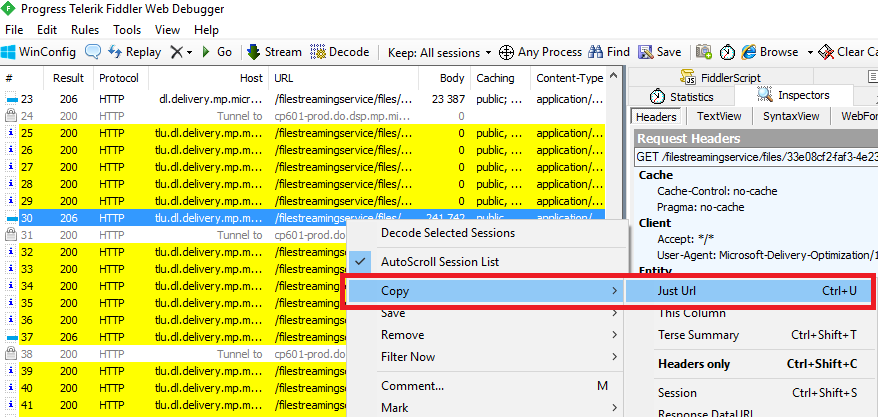 How To Download APPX File From Microsoft Store For Offline Installation 