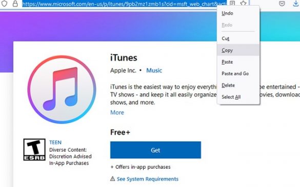 how-to-download-appx-file-from-microsoft-store-for-offline-installation