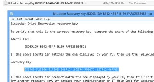 Recovering Files from BitLocker Encrypted Drive | Windows OS Hub