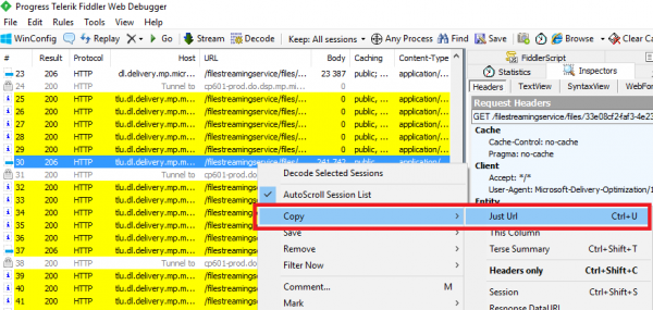 How to Download Offline Installer (APPX/MSIX) for Microsoft Store App ...