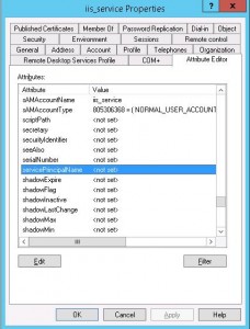 Configuring Kerberos Authentication on IIS Website | Windows OS Hub