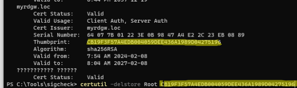 Scanning Windows Trusted Root CA for Suspicious Certificates | Windows ...