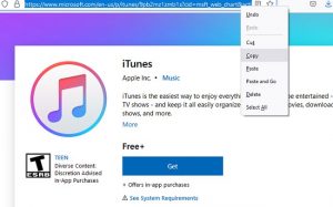 How to Download APPX File from Microsoft Store for Offline Installation ...