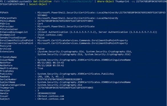 Generating A Selfsigned Certificate Using Powershell
