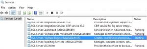 Kill a Windows Service That Is Stuck on Stopping | Windows OS Hub