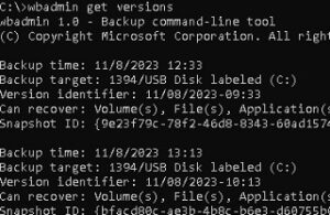 How to Backup Hyper-V Virtual Machines (Tutorial) | Windows OS Hub