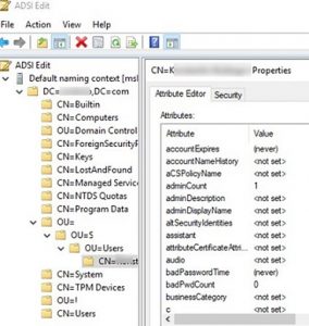 Using Attribute Editor in Active Directory Users and Computers ...