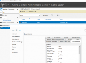 Using Attribute Editor in Active Directory Users and Computers ...