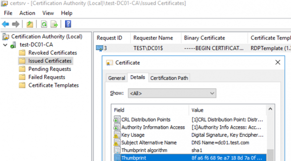Using SSL/TLS Certificates for Remote Desktop (RDP) | Windows OS Hub Using SSL/TLS Certificates for Remote Desktop (RDP) | Windows OS Hub