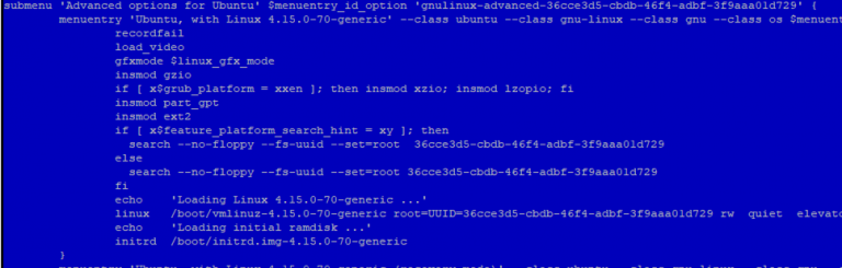 Ubuntumintkali Boots To Initramfs Prompt In Busybox Windows Os Hub