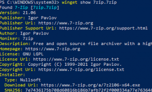 Using WinGet Package Manager on Windows 10 and 11 | Windows OS Hub