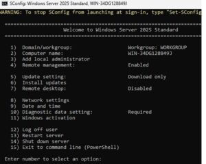 Basic Commands to Configure Windows Server Core | Windows OS Hub