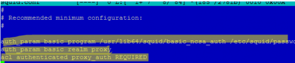 How To Install And Configure Squid Proxy Server On Linux Windows Os Hub