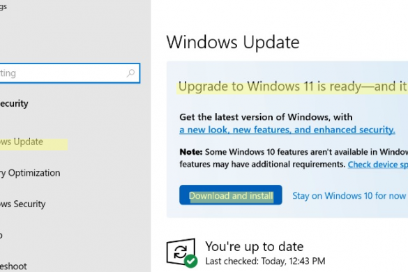 Windows 11 : How-to Articles and Step-by-Step Guides | Windows OS Hub