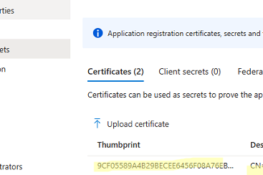 Installing Language Pack in Windows 10/11 with PowerShell | Windows OS Hub