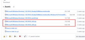 Install Windows Terminal without the Microsoft Store | Windows OS Hub